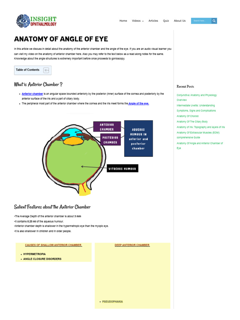 Theinsightophthalmology Com Eye Anatomy and Physiology Anterior Chamber Anatomy | PDF | Glaucoma ...