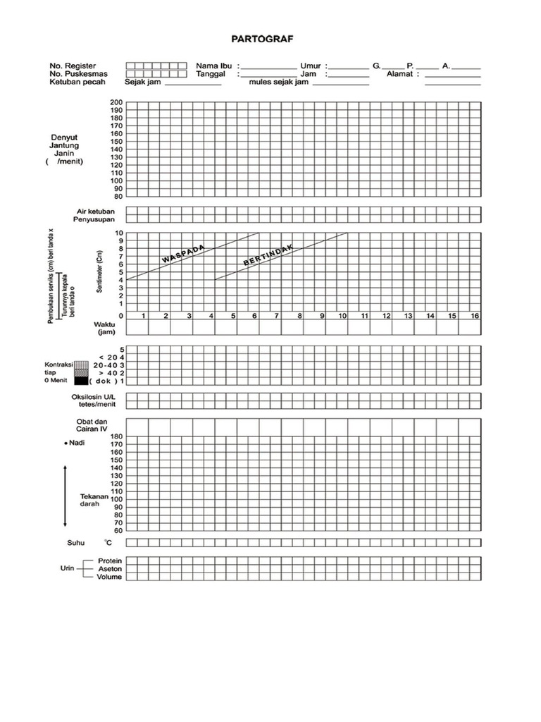 Format Partograf | PDF