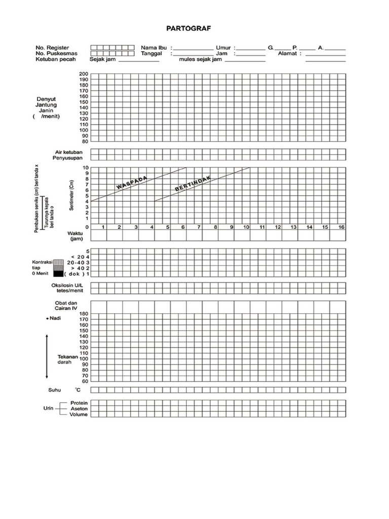 Format Partograf | PDF