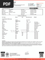 Fake Blood Test Report | PDF