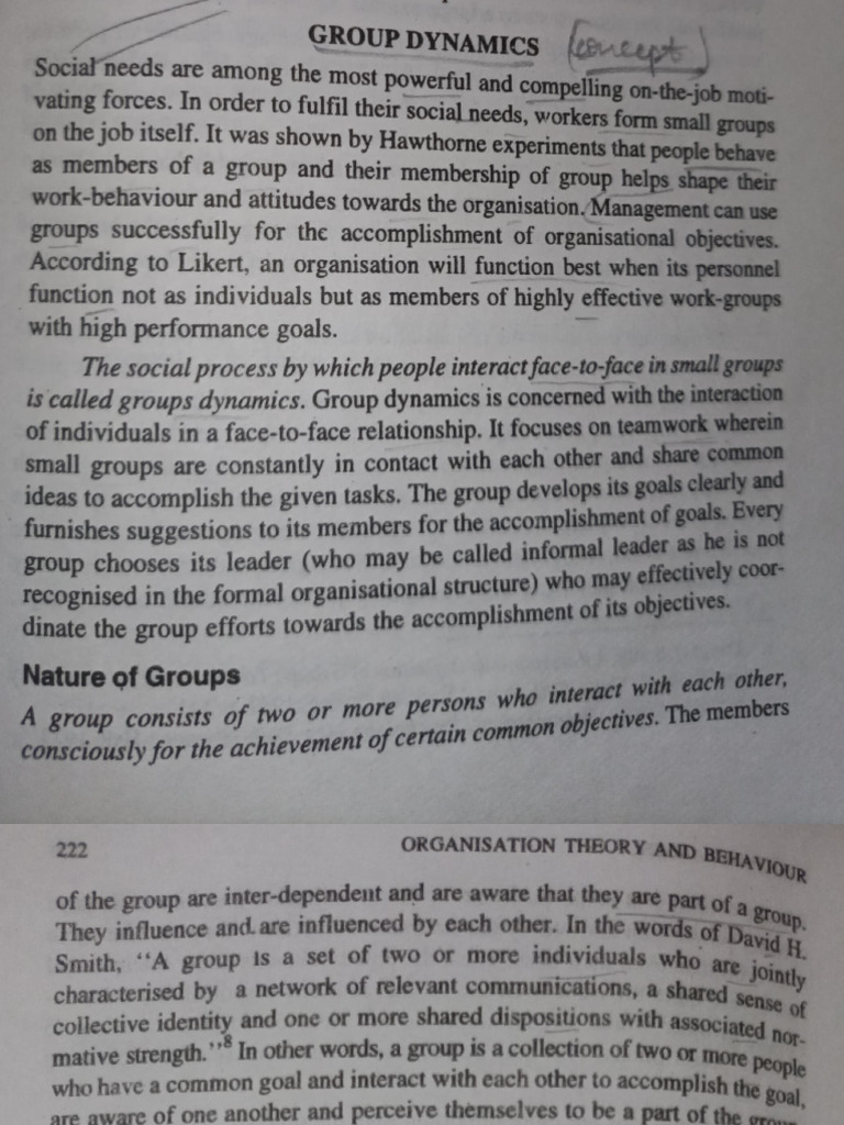 Group Dynamics | PDF | Leadership | Psychology