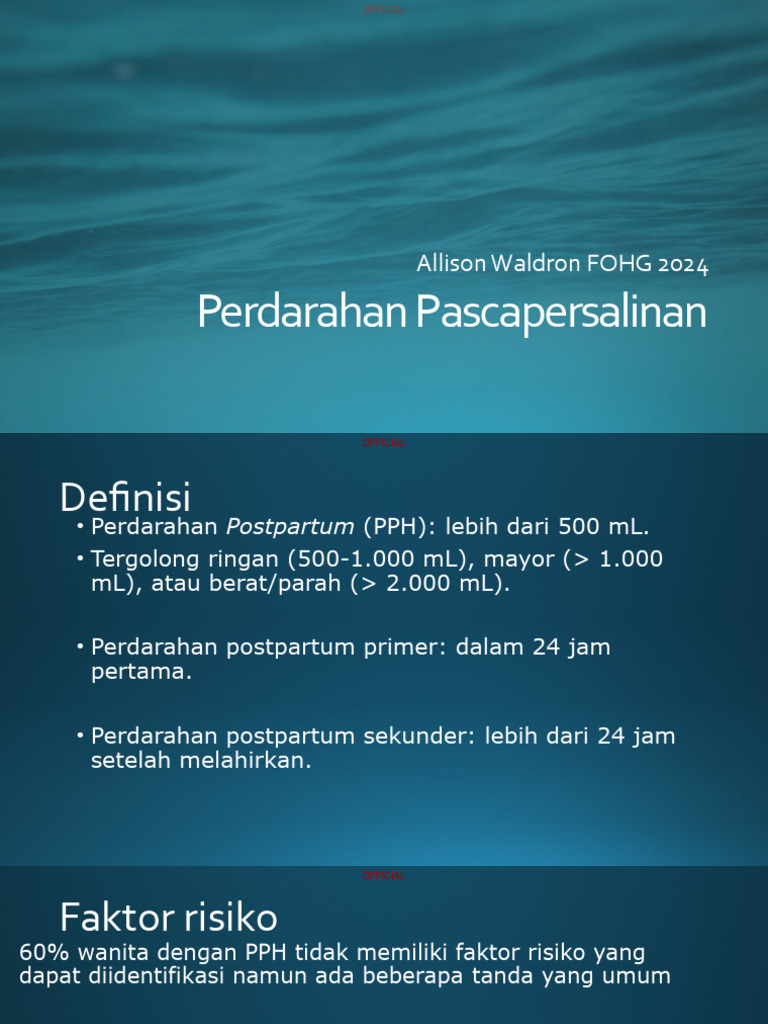 PPH 2024 (Indo) | PDF