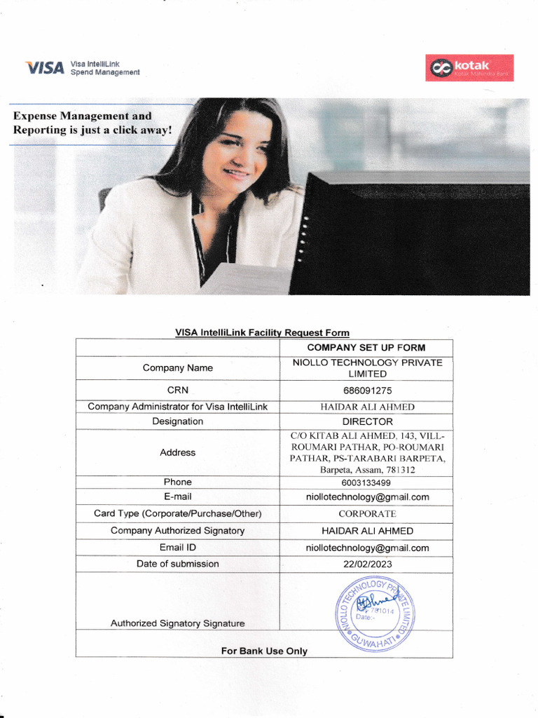 Visa Intellilink Declaration Format | PDF | Visa Inc. | Service Industries