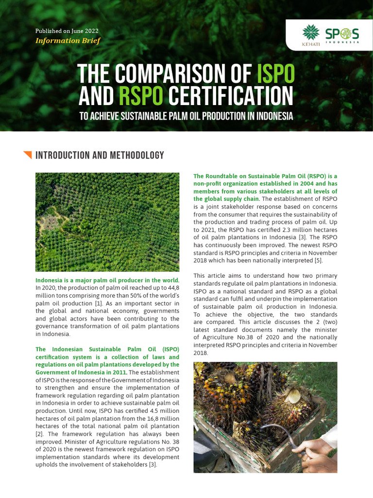 The Comparison of ISPO and RSPO Certification-2 | PDF | Deforestation | Natural Environment