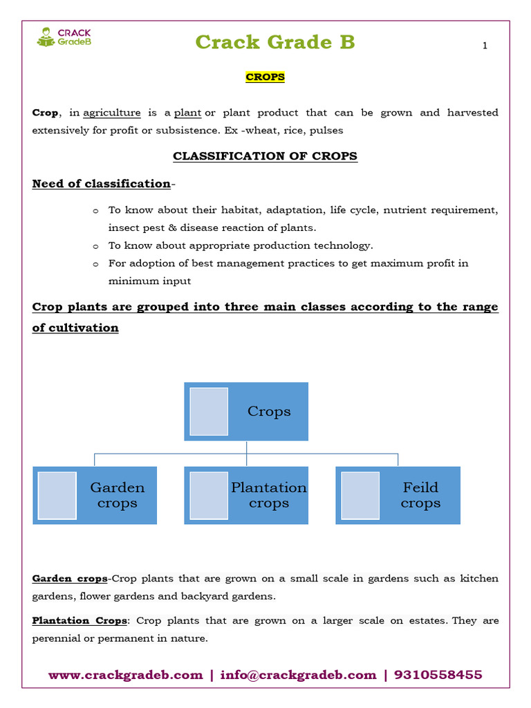 Classification of Plantation Crops | PDF | Crops | Flowers