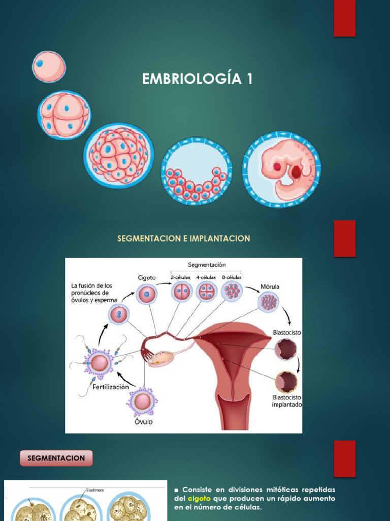 HTTPSFCM - Aulavirtual.unc - Edu.arpluginfile - Php485520mod - resourcecontent1Clase20Teorico ...
