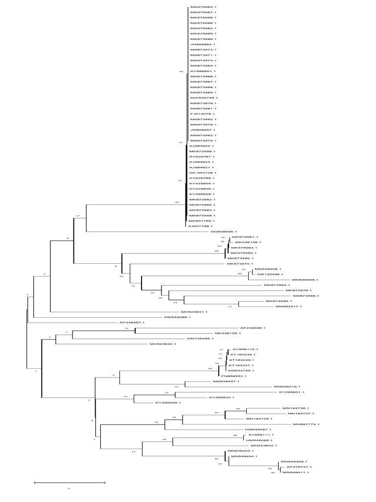 Phylogenetic Tree Bootstrap | PDF | Computational Biology | Mathematical And Theoretical Biology