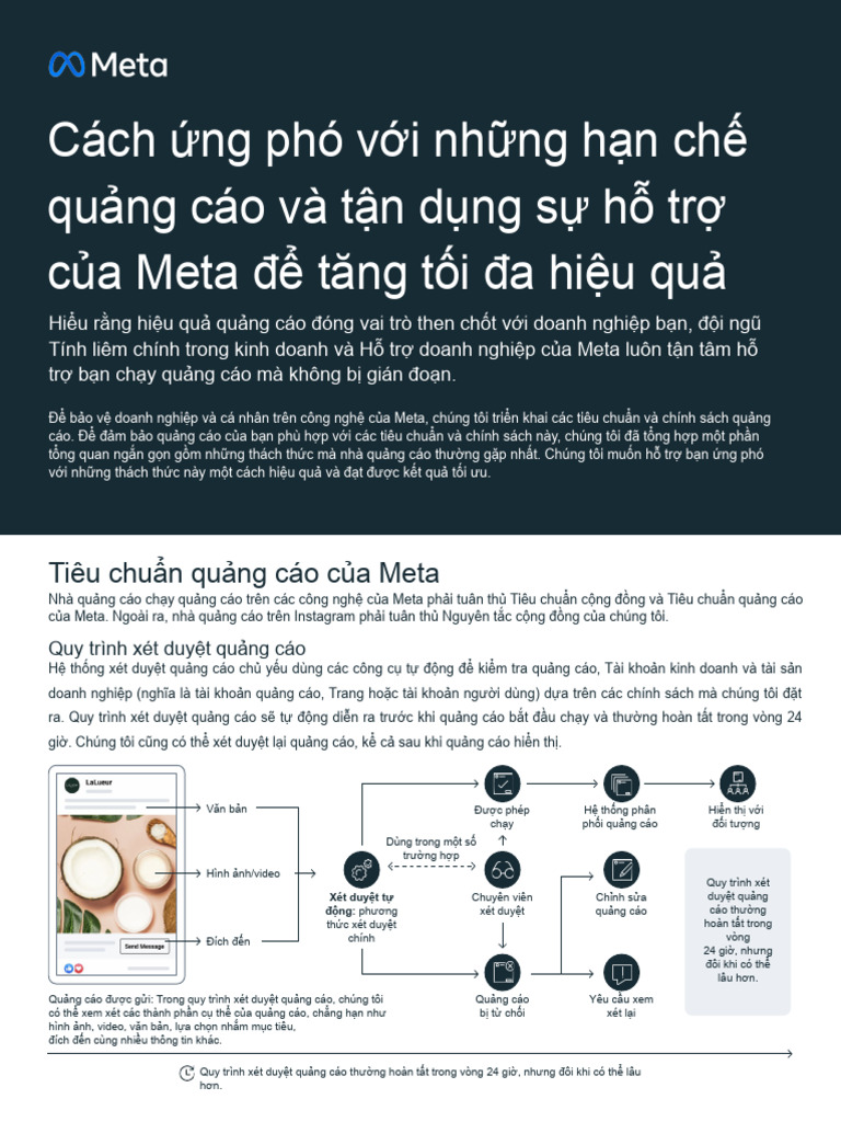 Meta Business Integrity Quick Reference Guide - VN | PDF