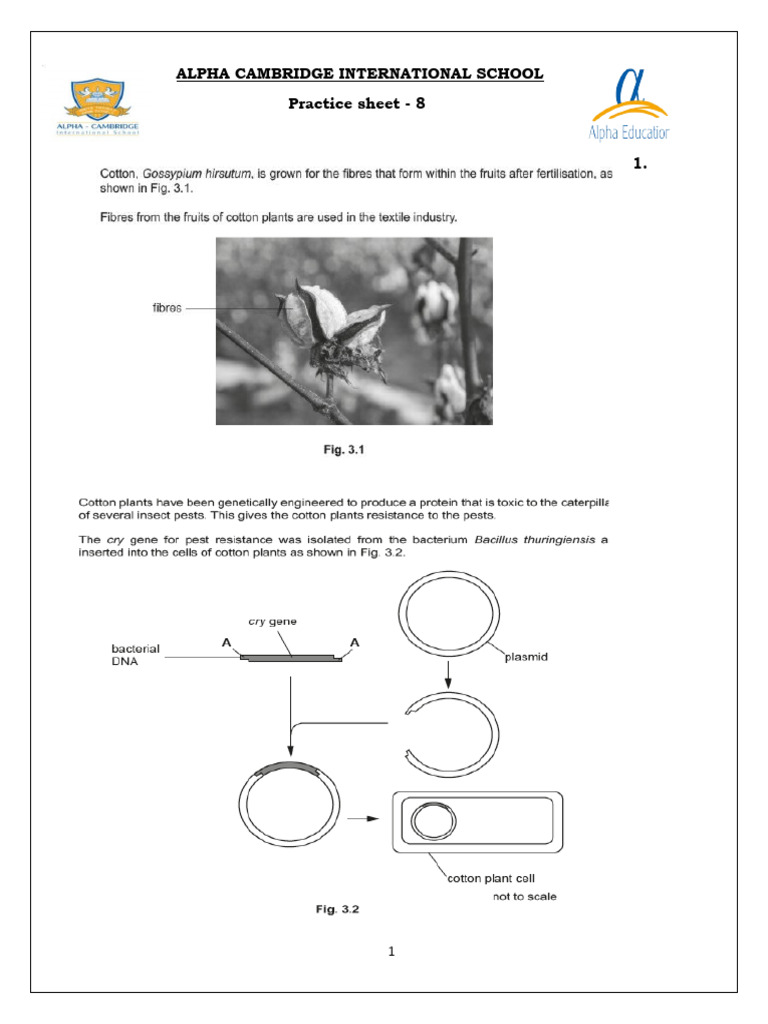 Bio Practice Sheet - 7 - QP 16 | PDF