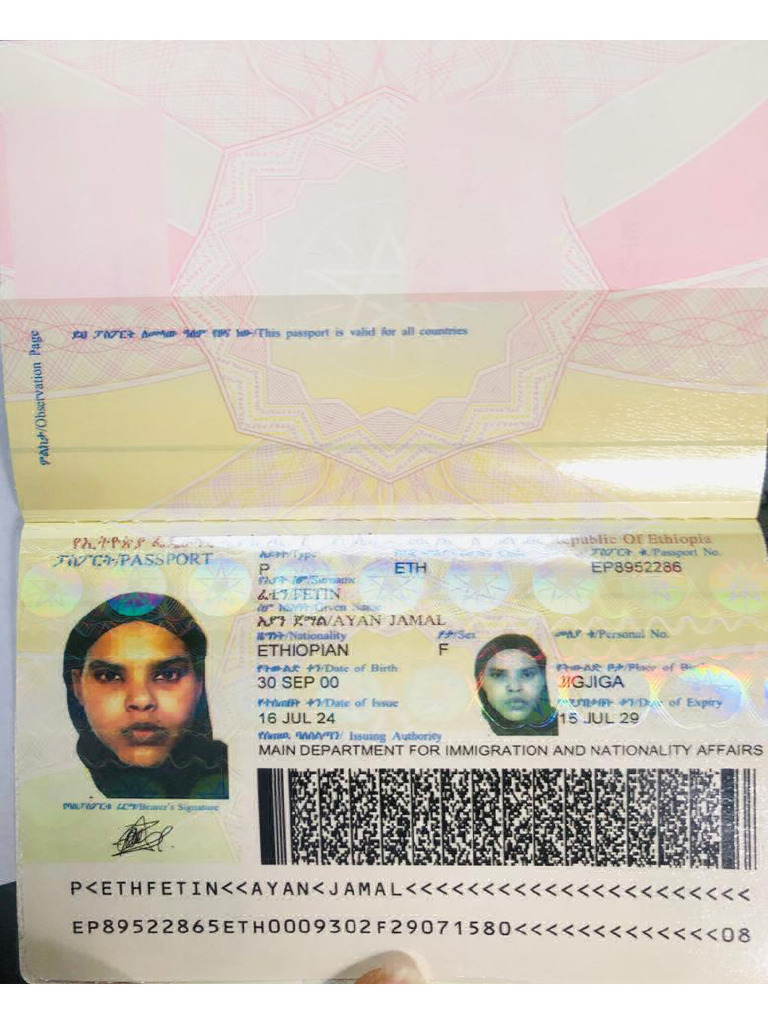 Passport | PDF