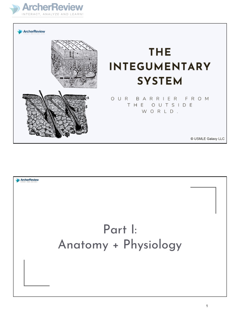 The Integumentary System6132024 | PDF | Integumentary System | Burn