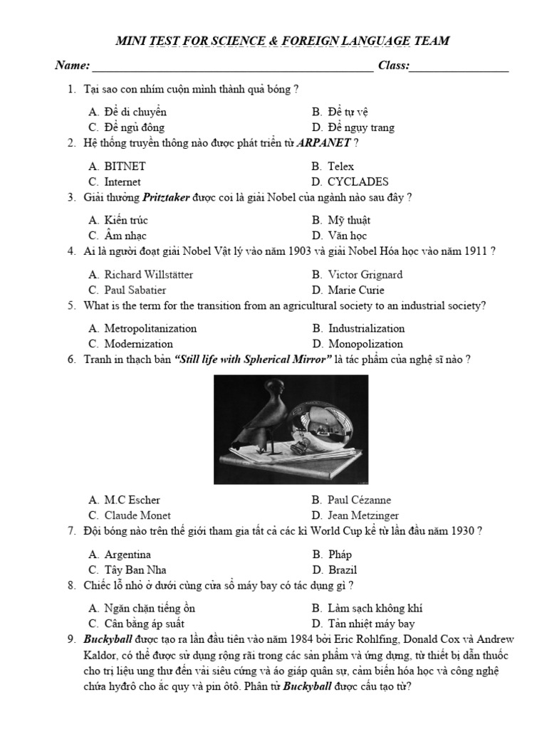 Mini Test | PDF