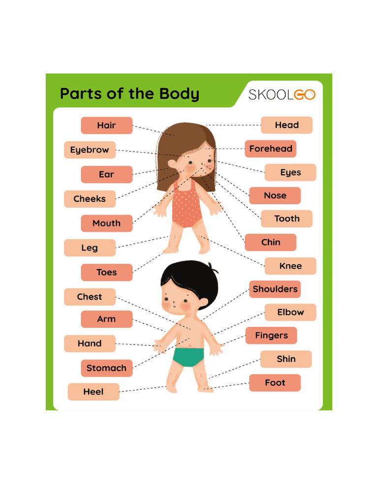 Woksheet FS1 Name of Body Parts | PDF