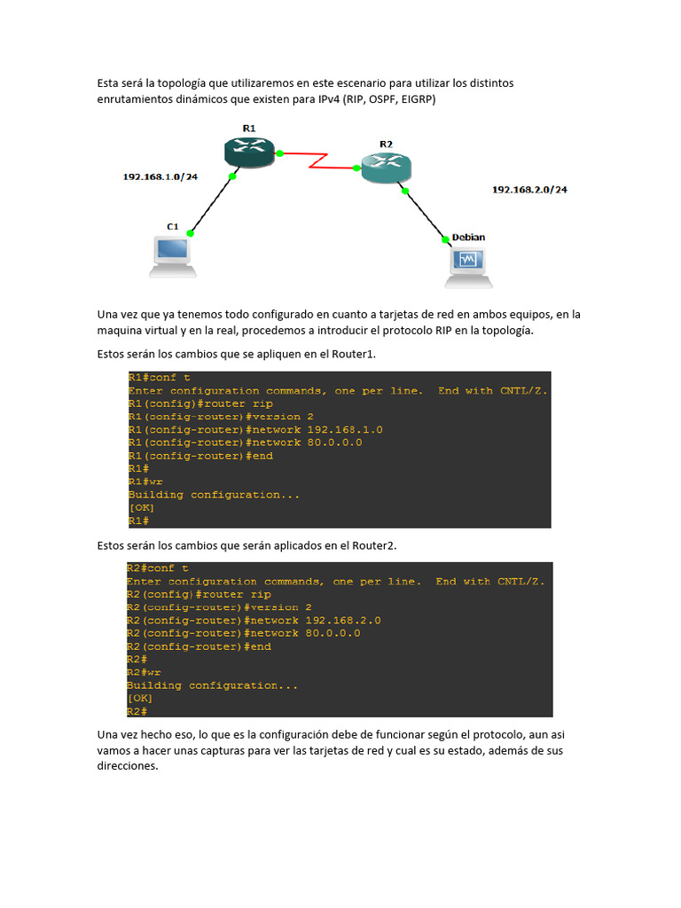 Practica 11 Enrutamiento Dinamico Ipv4 | PDF | Ciencia y matemática | Computadoras