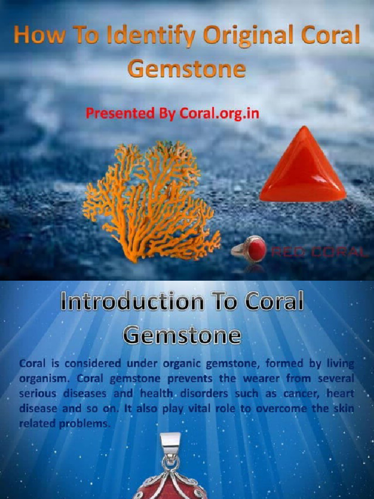 Coral Identification | PDF