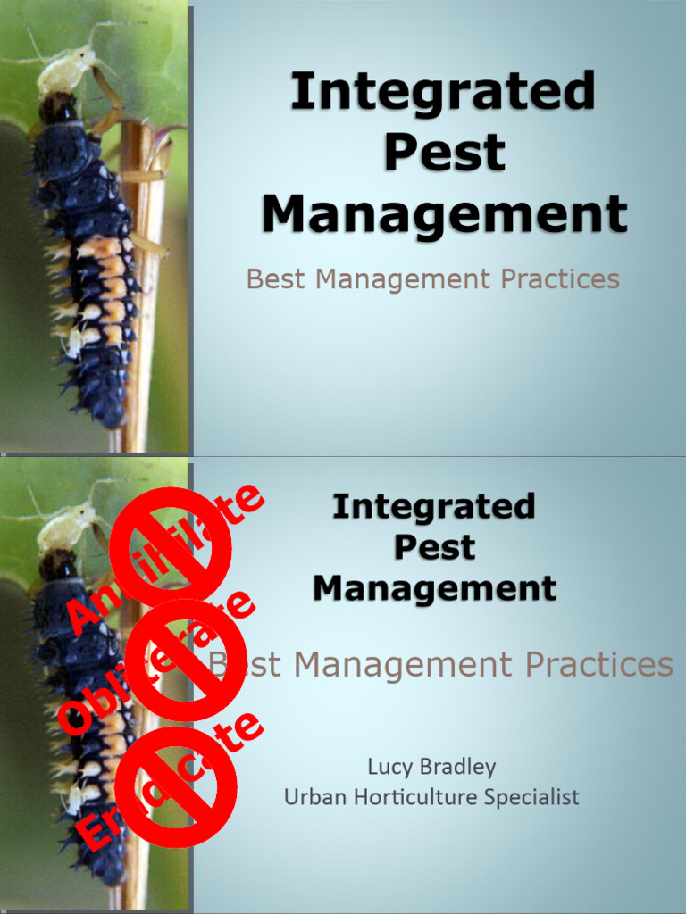 Best Practices for Urban Horticulture | PDF | Wasp | Insects