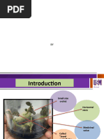 Basic Sequence of Events Module | PDF | Farmer | Flowers