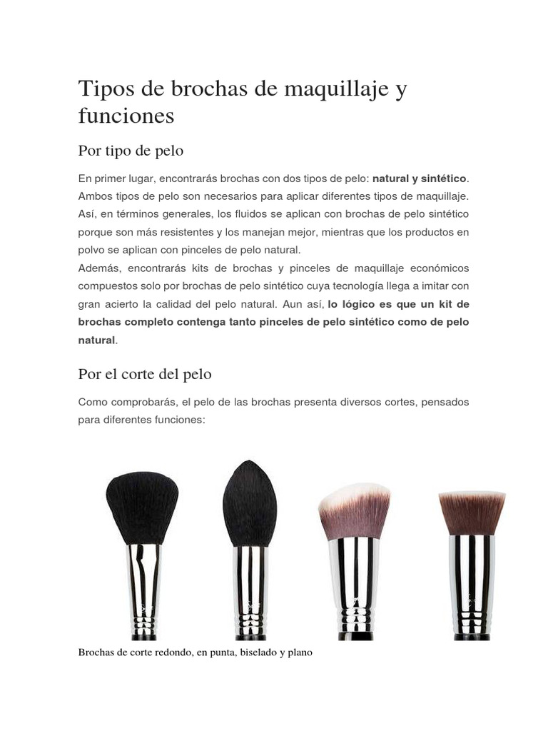 Tipos de Brochas de Maquillaje y Funciones | PDF | Productos cosméticos ...