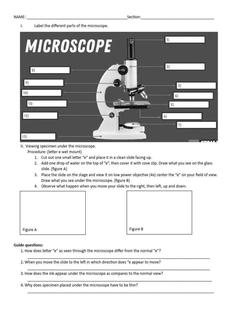 Microscope | PDF | Microscope | Laboratory Techniques