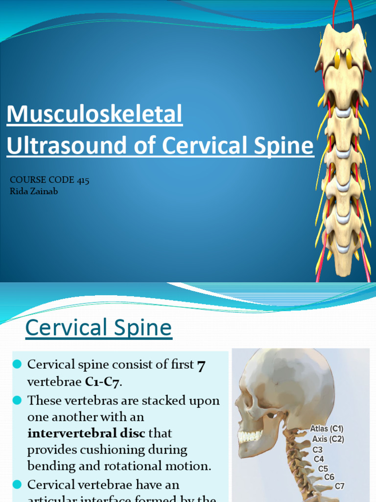 LEC-10 Cervical Spine USG | PDF | Vertebral Column | Medical Imaging