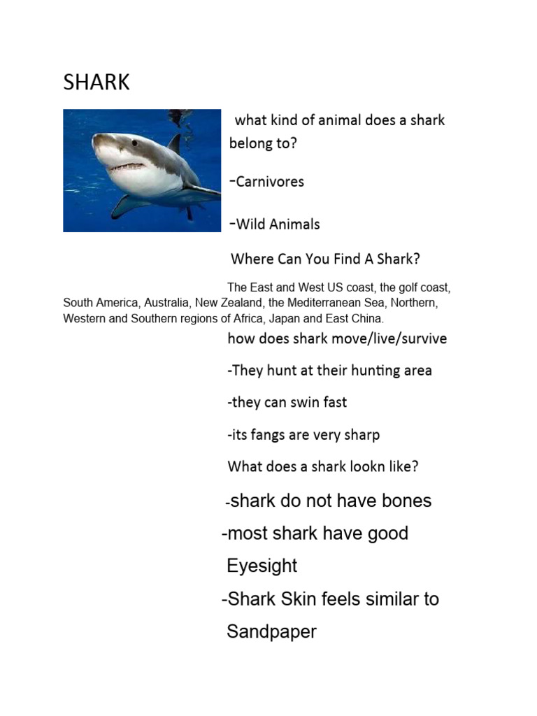 SHARK | PDF | Travel | Home & Garden