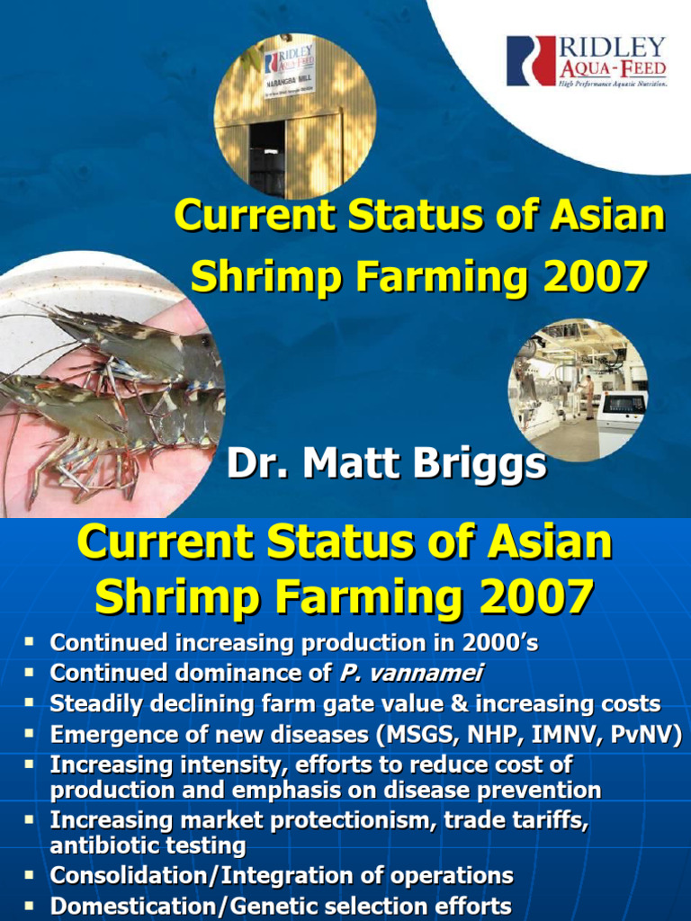 Current Trends in Asian Shrimp Farming | PDF | Flour