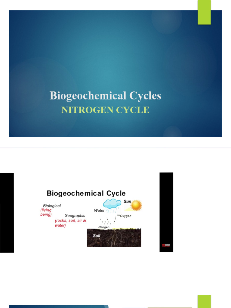 Nitrogen Cycle | PDF | Natural Environment | Earth Sciences