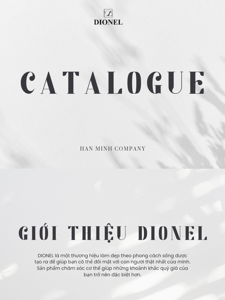 Catalogue Dionel | PDF