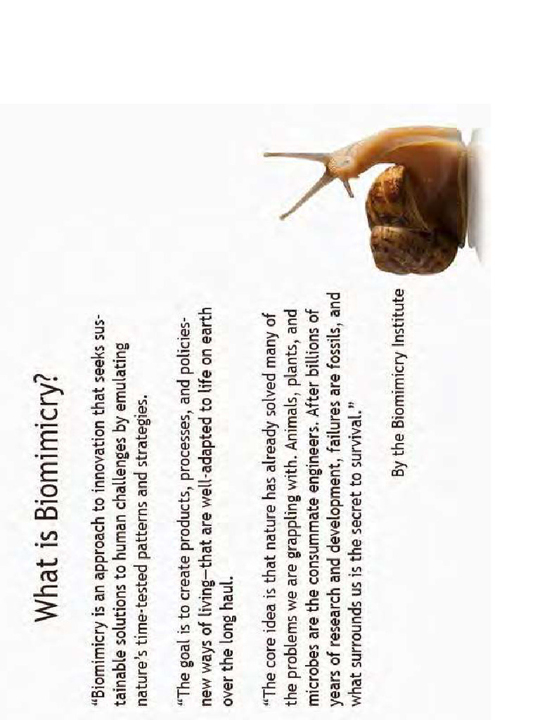 Biomimicry | PDF
