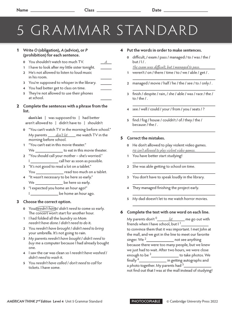 AmericanThink2ed TR4 Unit 5 Grammar | PDF