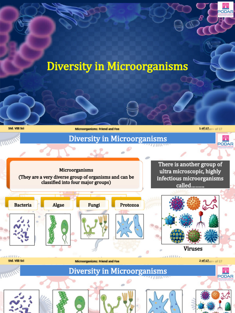 PPT2 CB VIII Sci Microorganisms-Friends and Foe | PDF | Protozoa | Microorganism