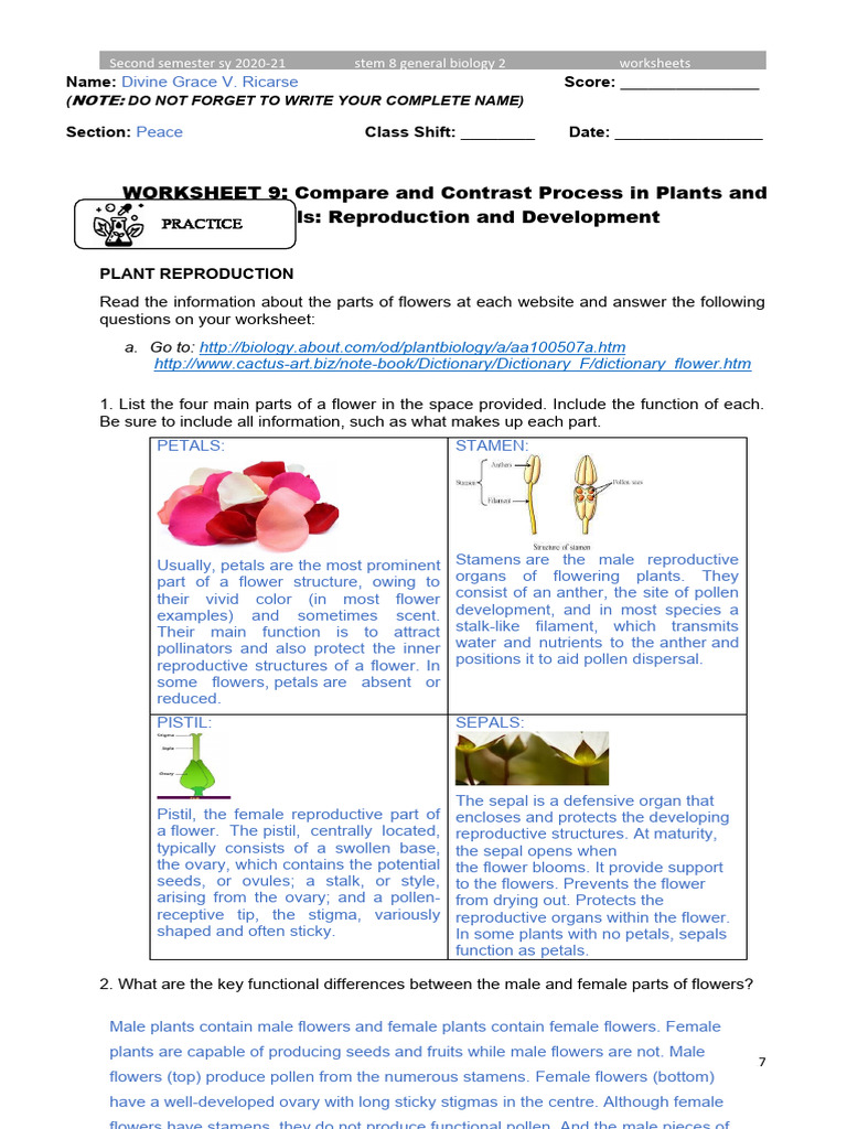 Flower Anatomy and Reproductive Roles | PDF | Flowers | Immune System