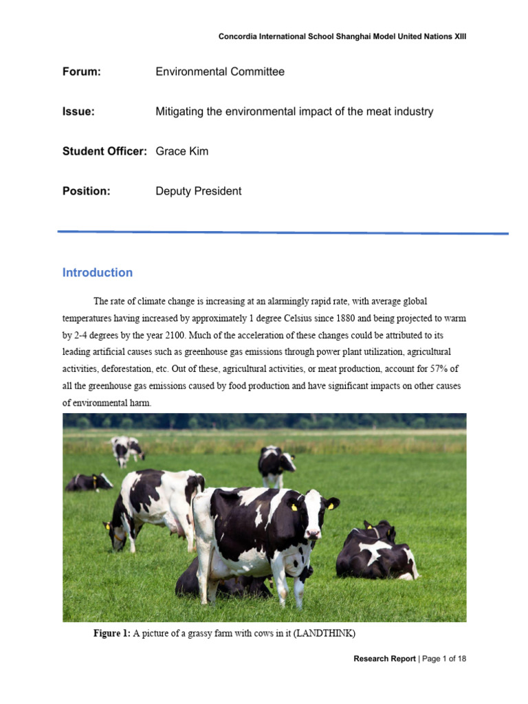 FINAL - Grace Kim-ENV | PDF | Deforestation | Meat