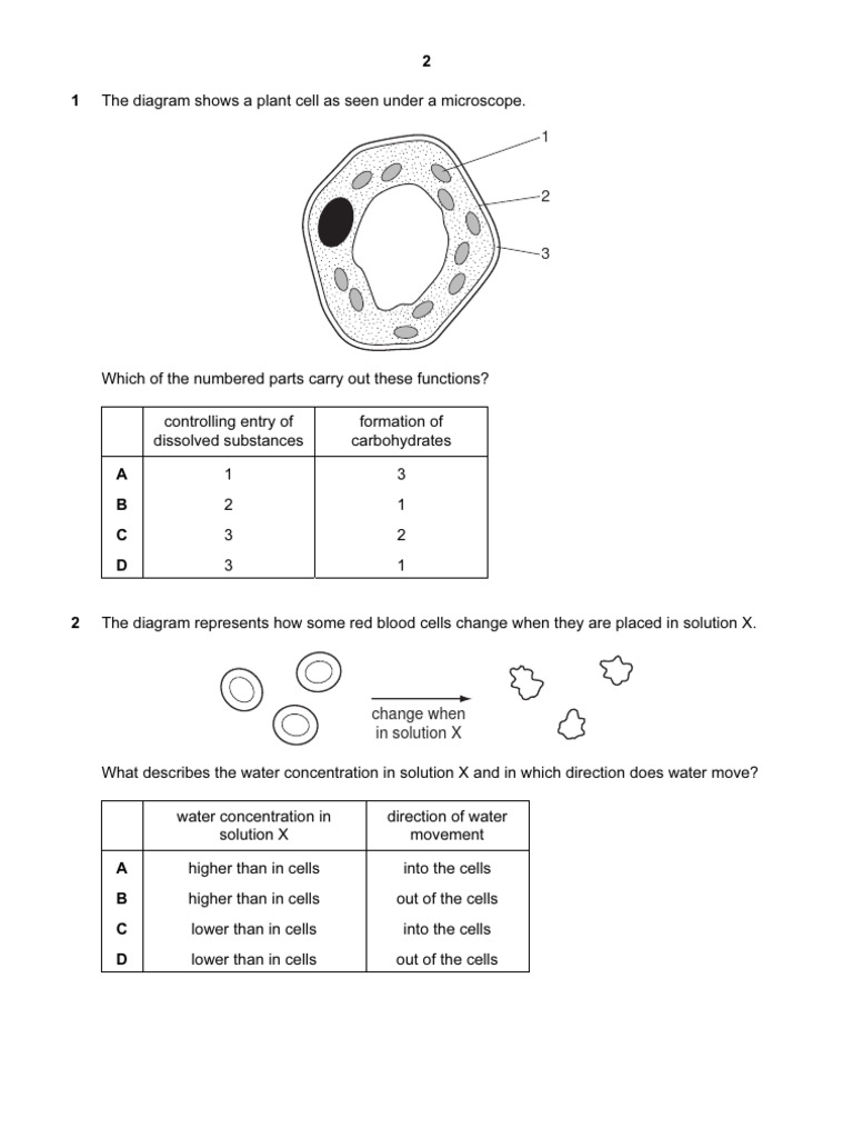 SDA Revision Kit - PPR 1-1 | PDF | Chlorine | Metals