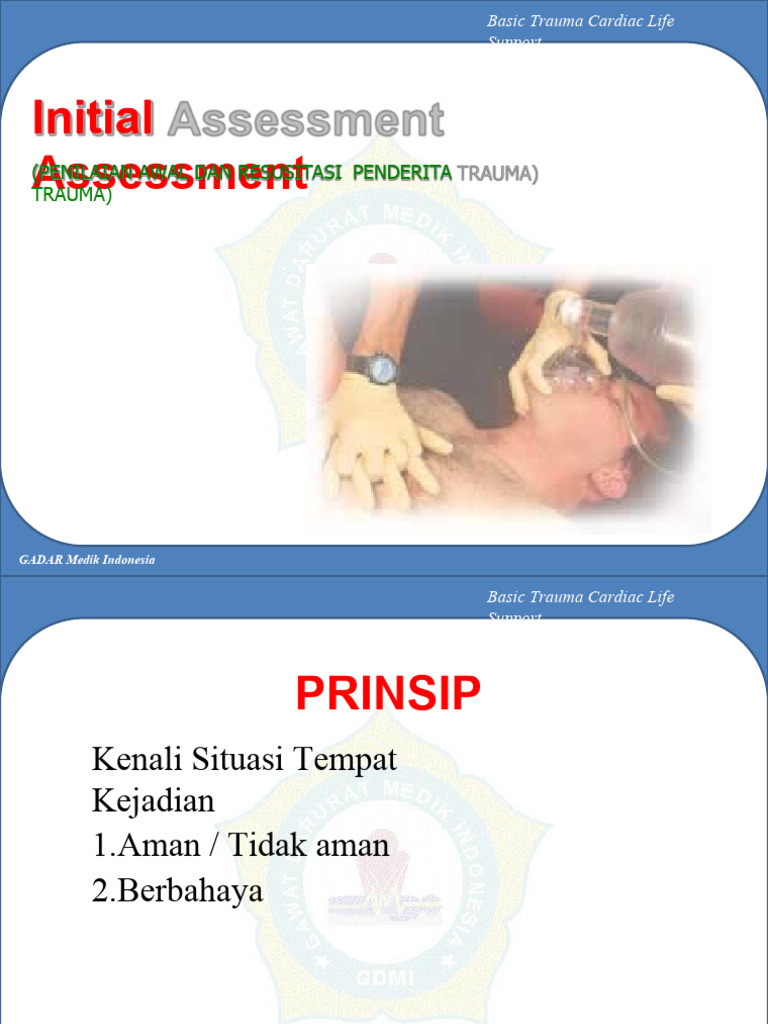 Initial Assessment | PDF