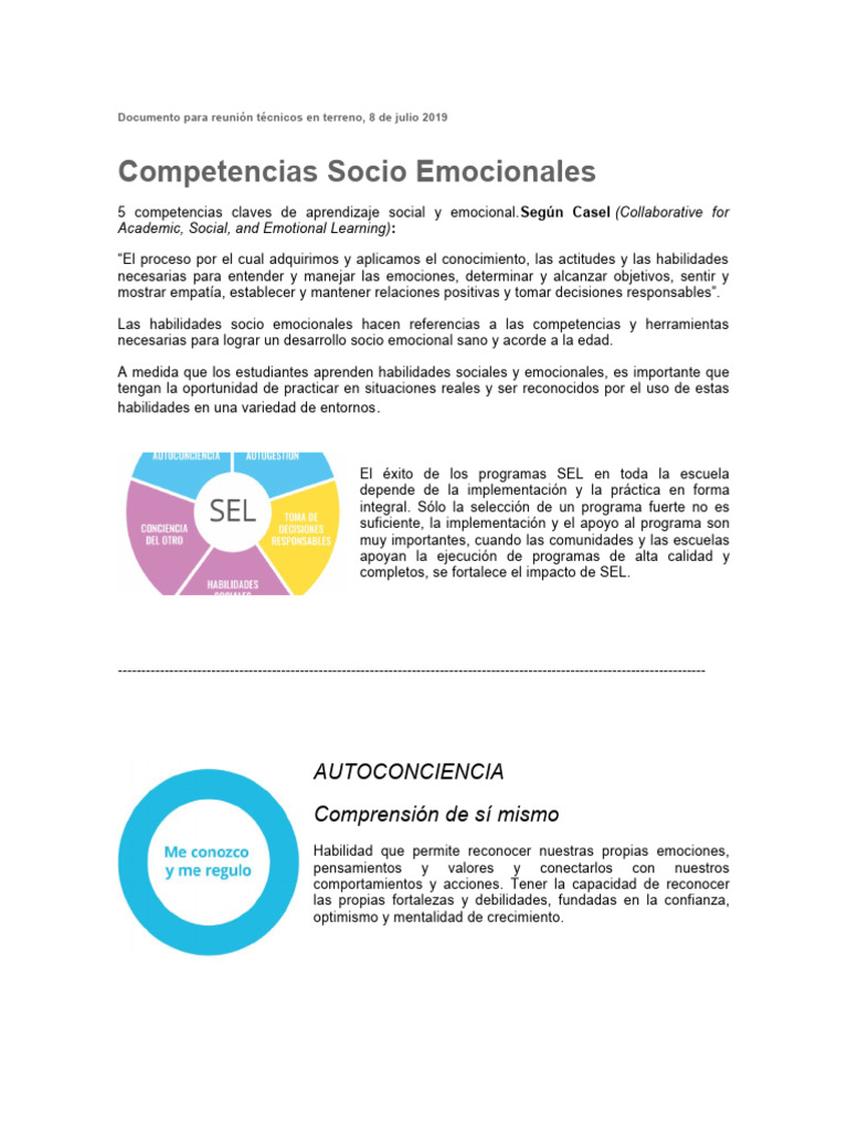 Competencias Socio Emocionales | PDF | Las emociones | Empatía