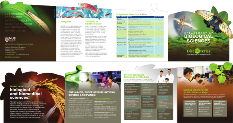 DBS Lifesciences Pamphlet 2020 | PDF | Science | Biology