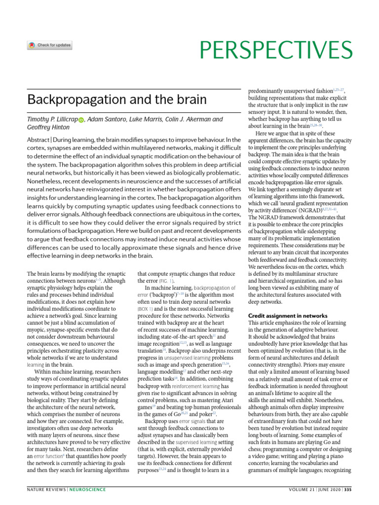 Backpropagation&brain | PDF | Visual Cortex | Artificial Neural Network