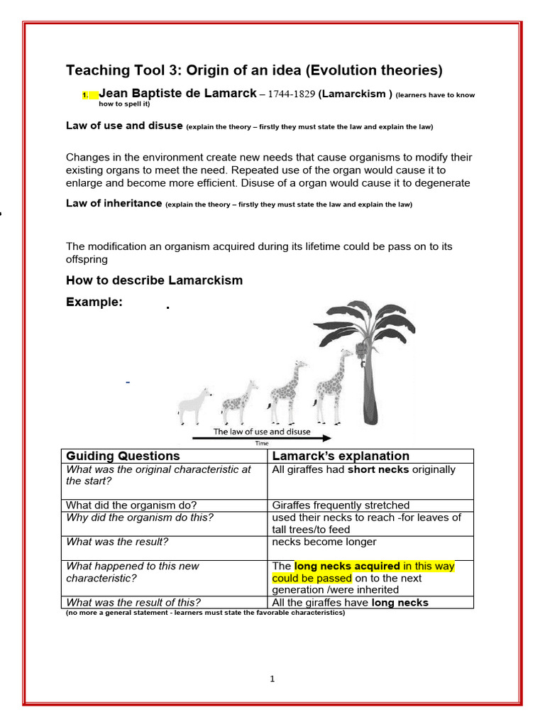 Teaching Tool 3 Evolution Ideas | PDF | Natural Selection | Evolution