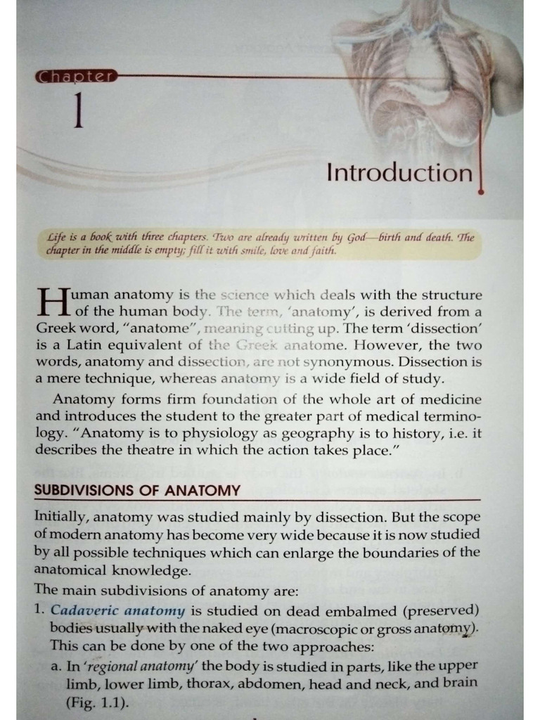 Anatomy Notes | PDF | Anatomical Terms Of Motion | Anatomical Terms Of ...