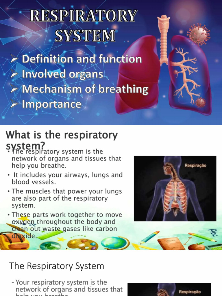 Lesson 1 Respiratory System 2 | PDF