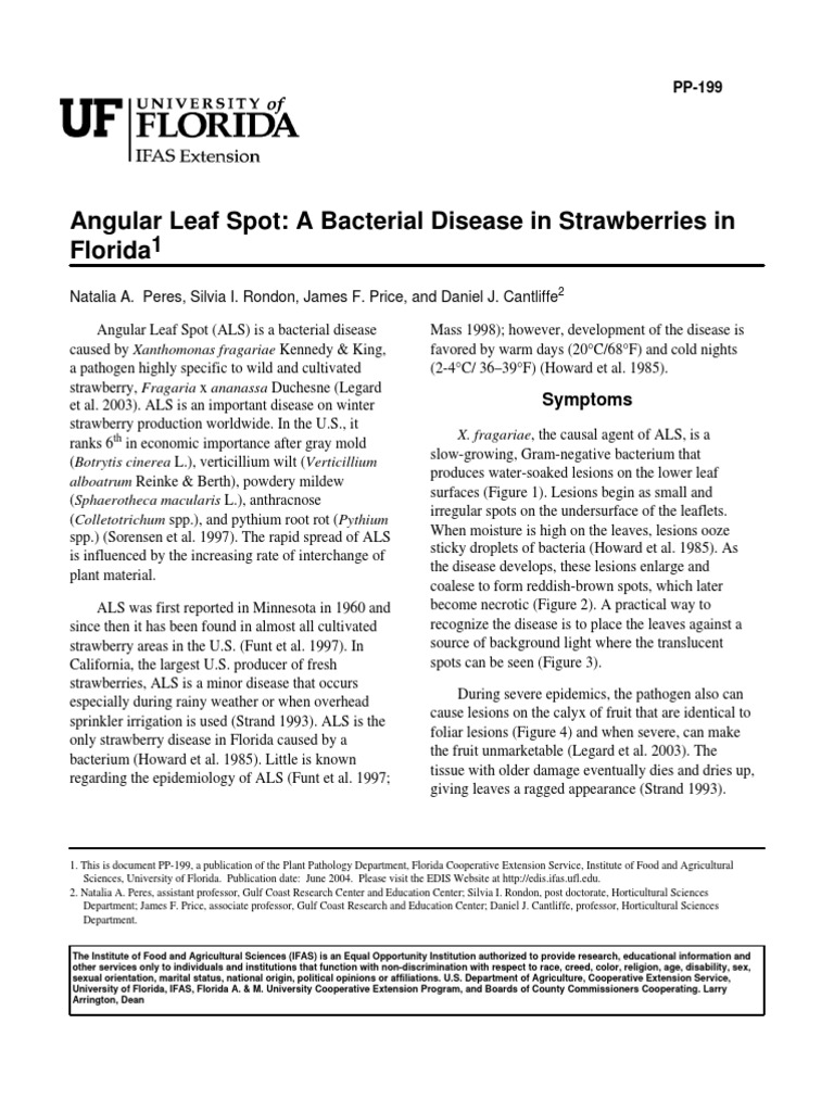 Bacterias X | PDF | Strawberry | Bacteria