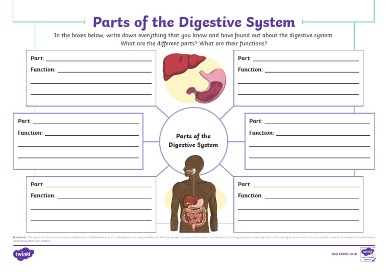 In SC 1710246191 Parts of The Digestive System Mind Map - Ver - 1 | PDF