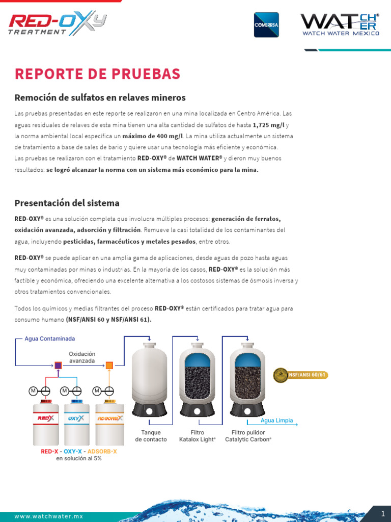 Red-Oxy - Reporte Pruebas Remoción de Sulfatos | PDF | Agua | Materiales