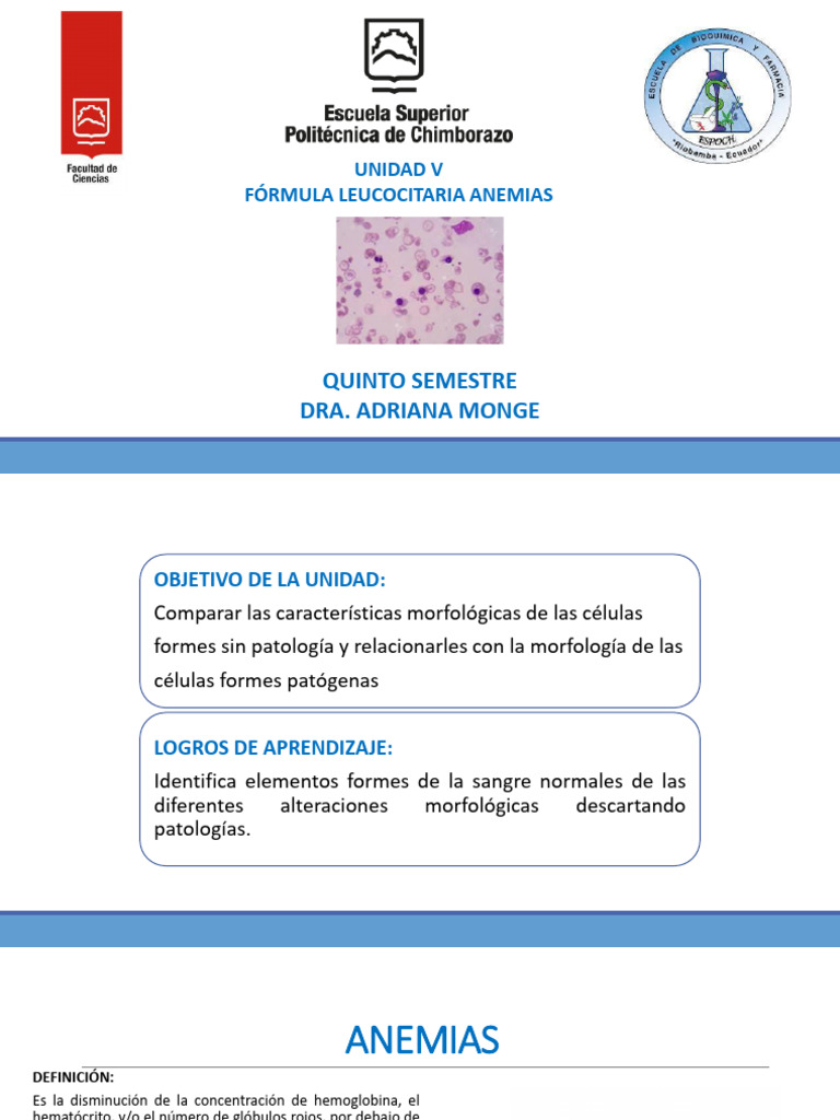 5.2 Anemias - Clasificación - . Pruebas de Laboratorio | PDF | Leucemia ...