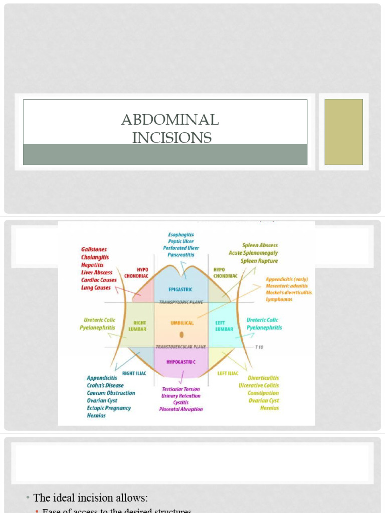 Abdominal Incisions | PDF | Abdomen | Peritoneum