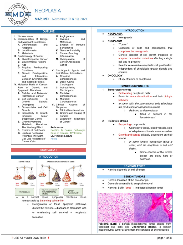(PATHO) 7. Neoplasia | PDF | Metastasis | Neoplasms