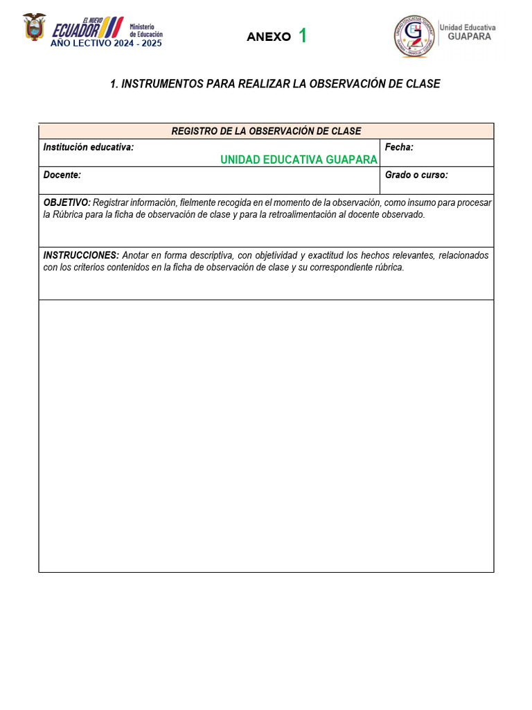 Observacion Aulica - Fichas Ueg | PDF | Evaluación | Maestros
