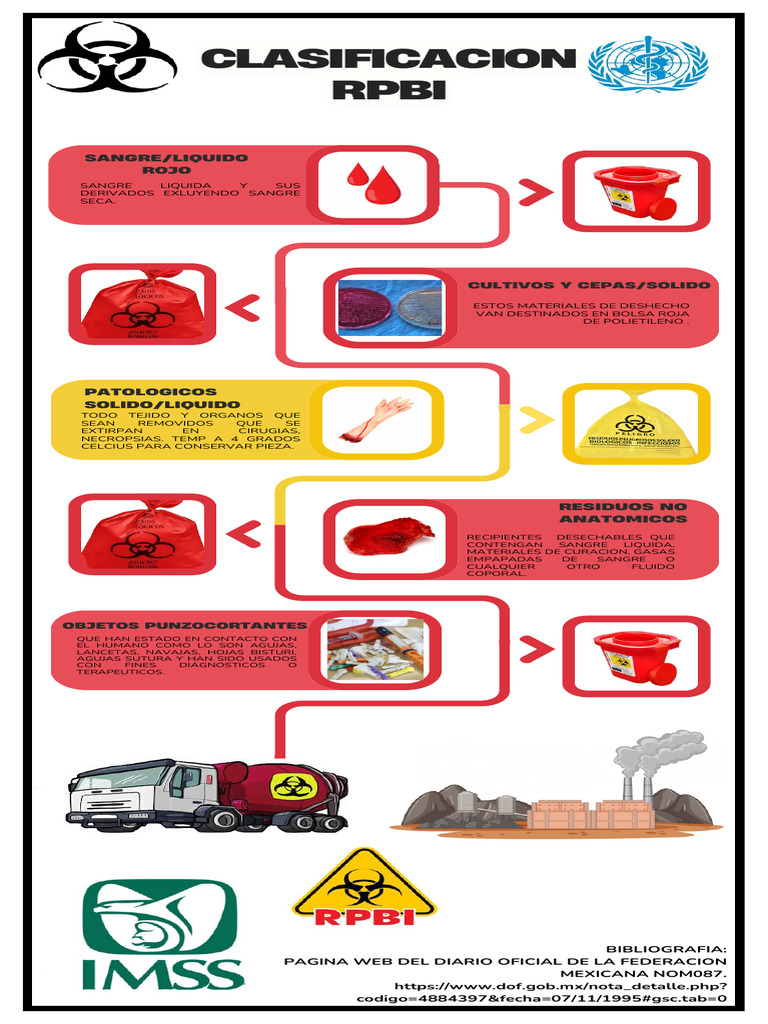 INFOGRAFIA RPBI | PDF