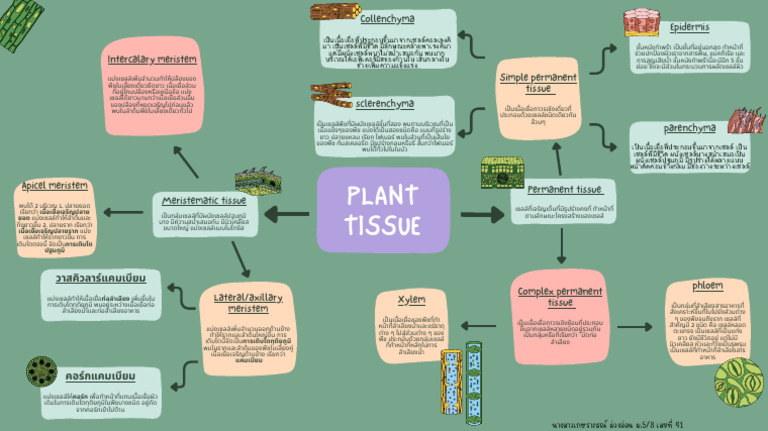 Purple Colorful Organic Mind Map Brainstorm | PDF